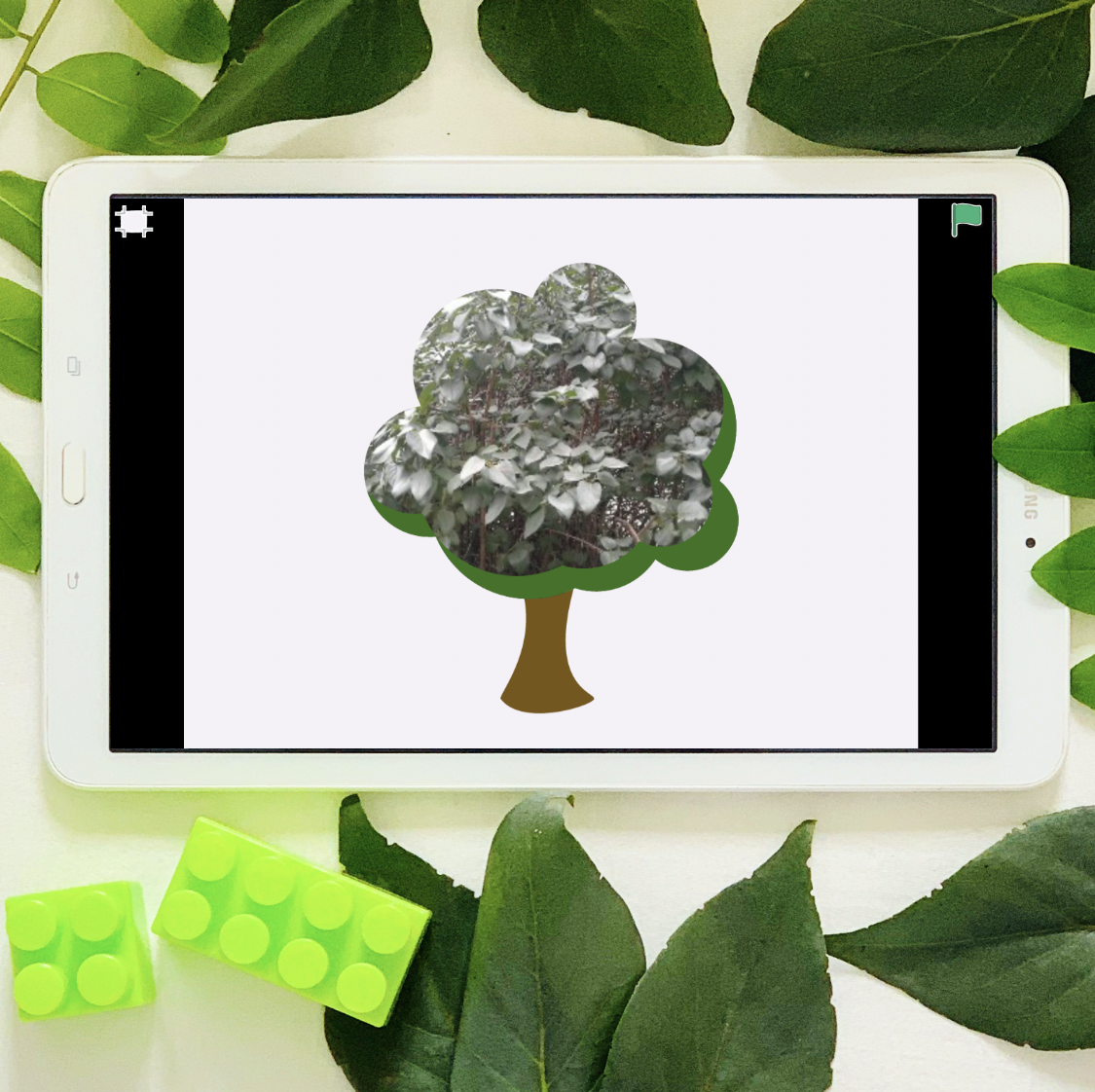 5 Tips For Using The Camera Tool In Scratchjr Scratchjr Fun